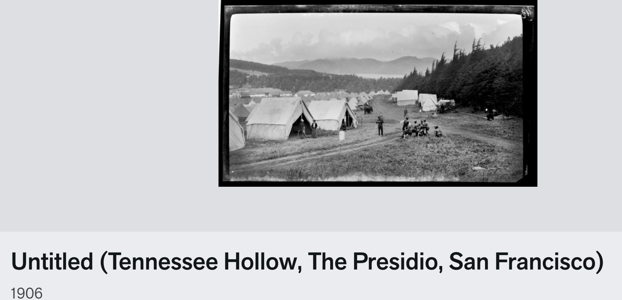 Holler – Musings of the Mad